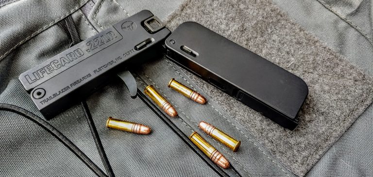 2020 Trend Watch: Is Using a .22 for Self-Defense the Next Big Trend ...