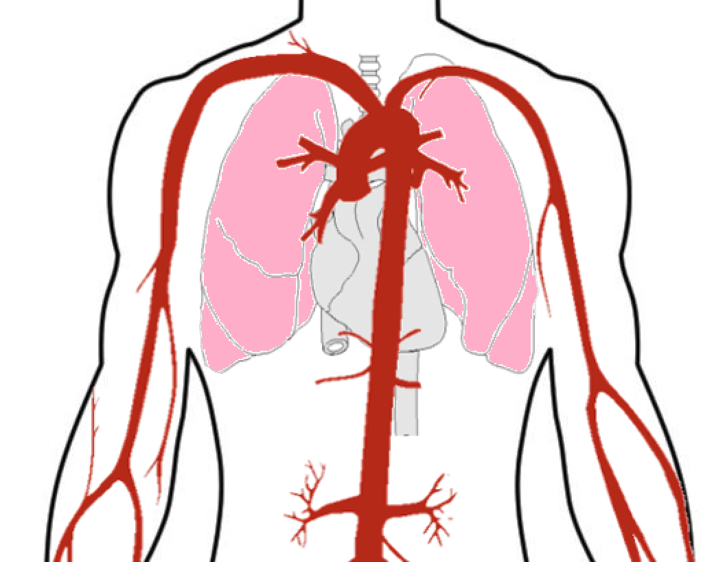Target Shooting Practice vs Defensive Shooting Training – CrossBreed Blog